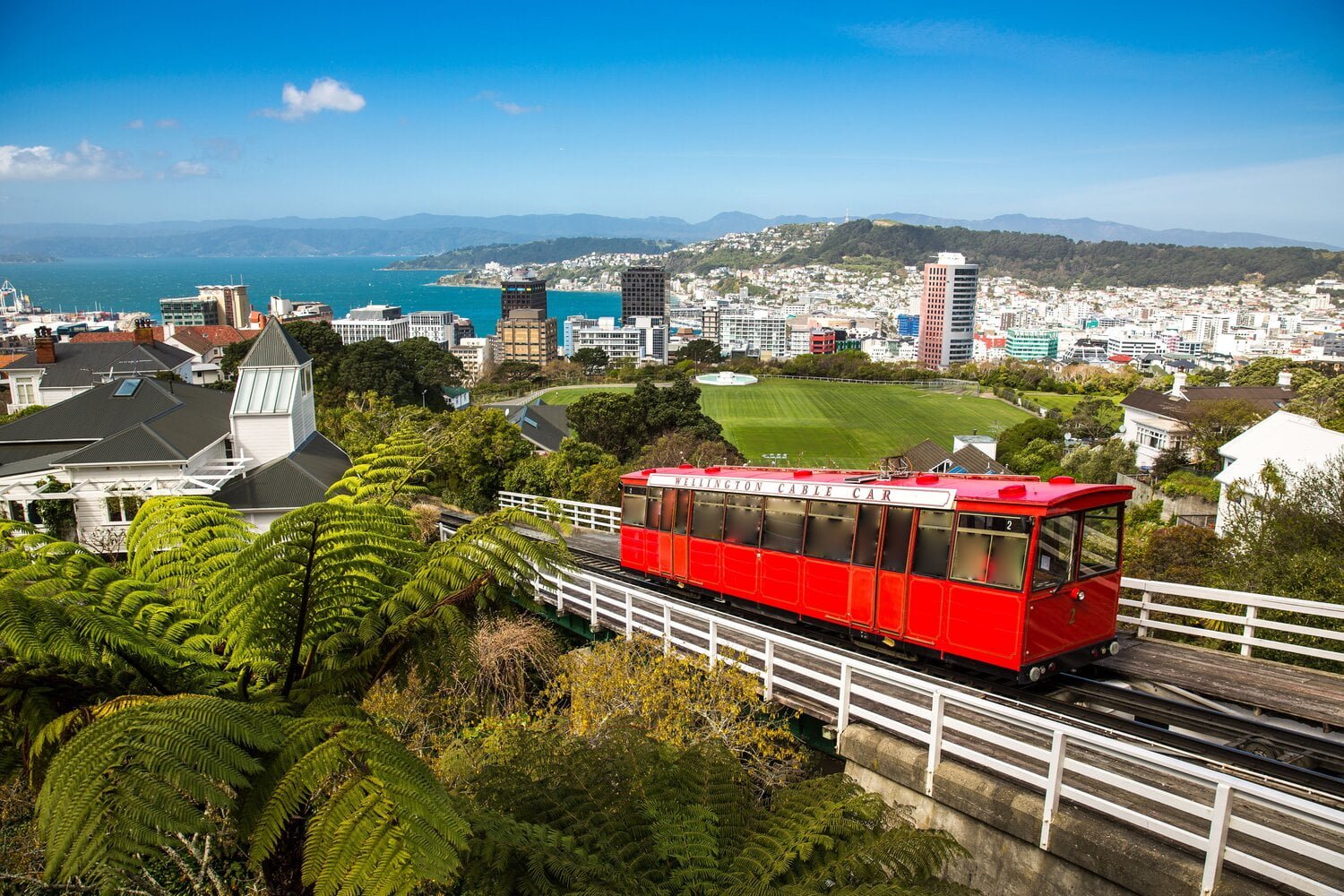 The Full Digital Nomad Guide to Wellington - The Digital Nomad World