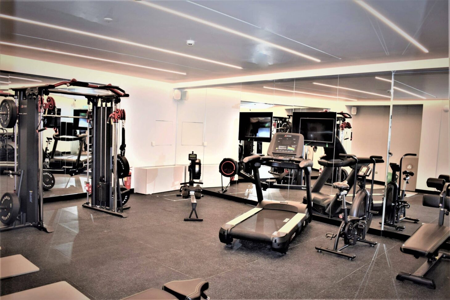 Ivis 4 Gym - Digital Nomad World