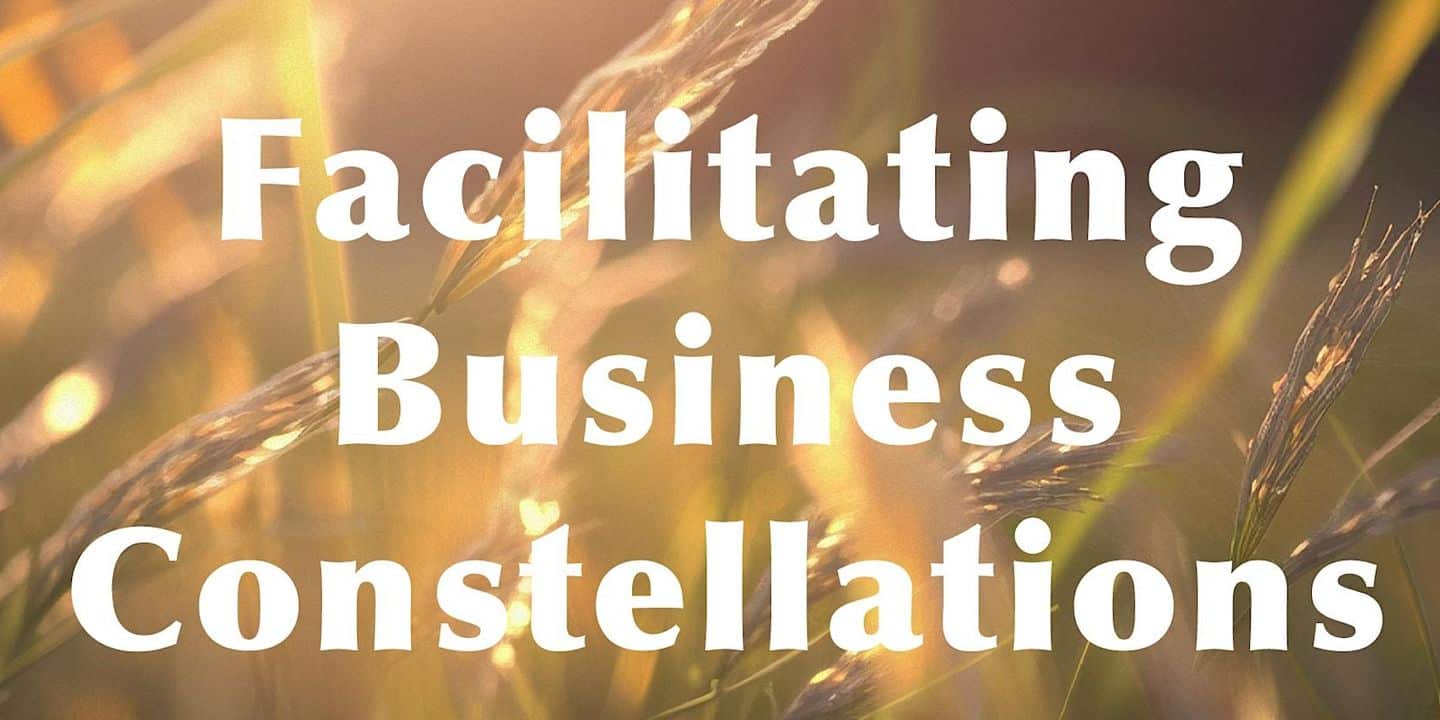 Free Online Session: Introduction to Business Constellations - Digital Nomad World